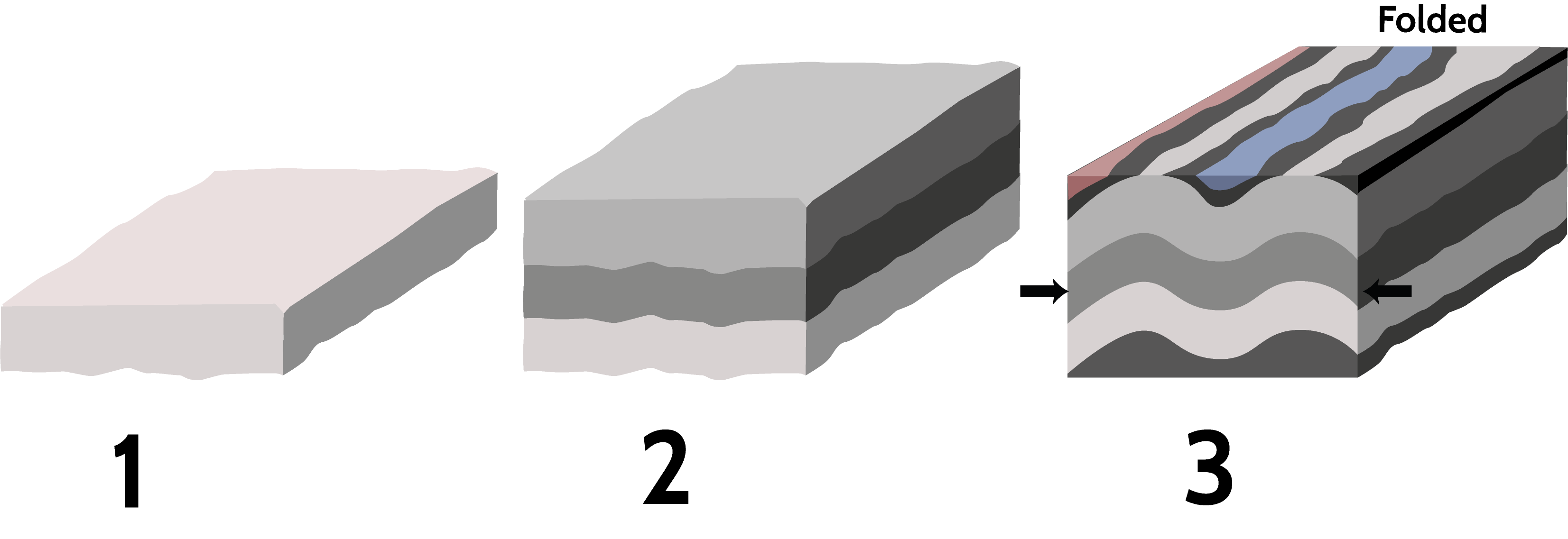 How can we tell the age of rocks and fossils? – Rock Archive