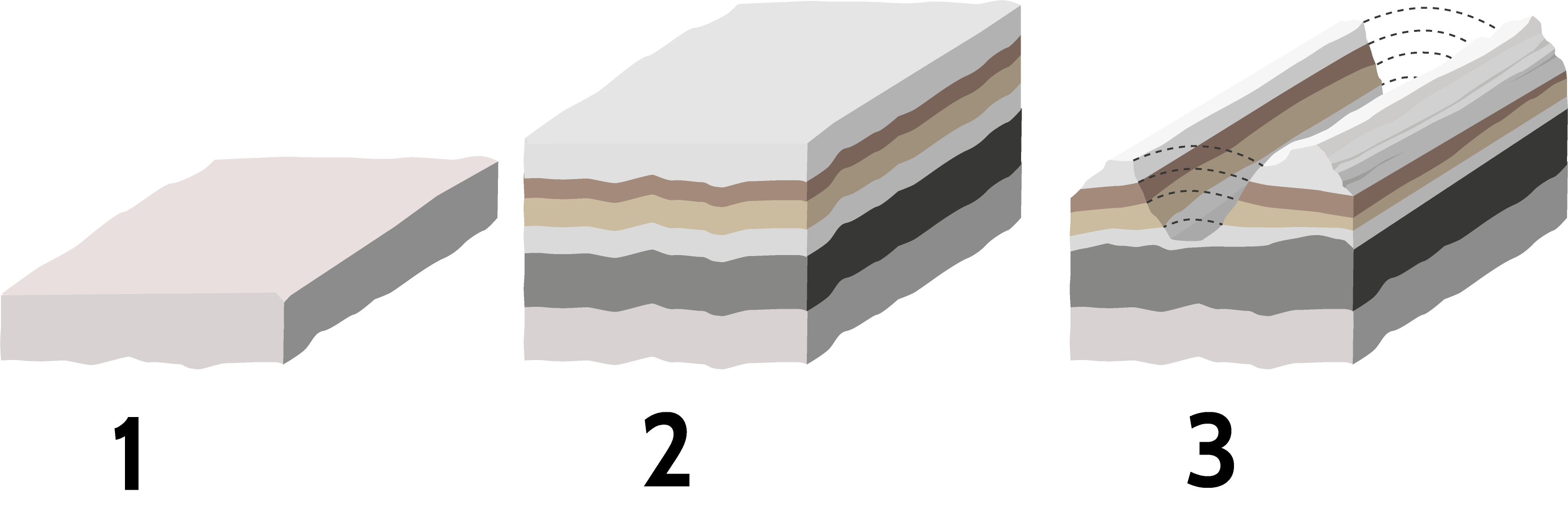 How can we tell the age of rocks and fossils? – Rock Archive