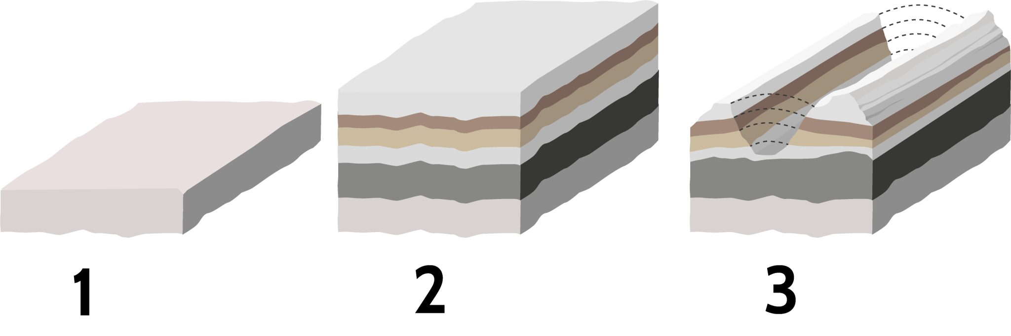 How can we tell the age of rocks and fossils? – Rock Archive