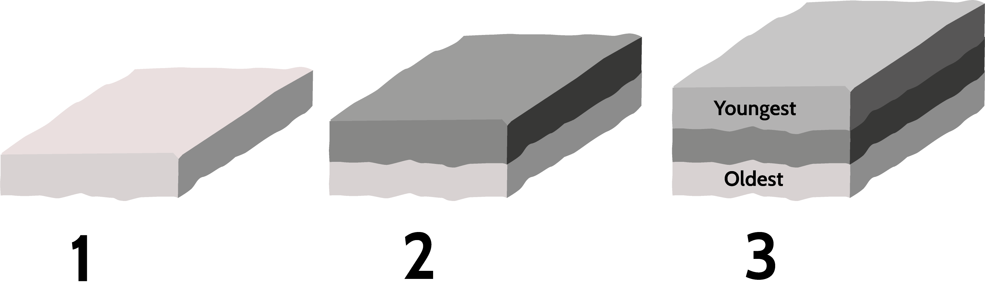 How can we tell the age of rocks and fossils? – Rock Archive